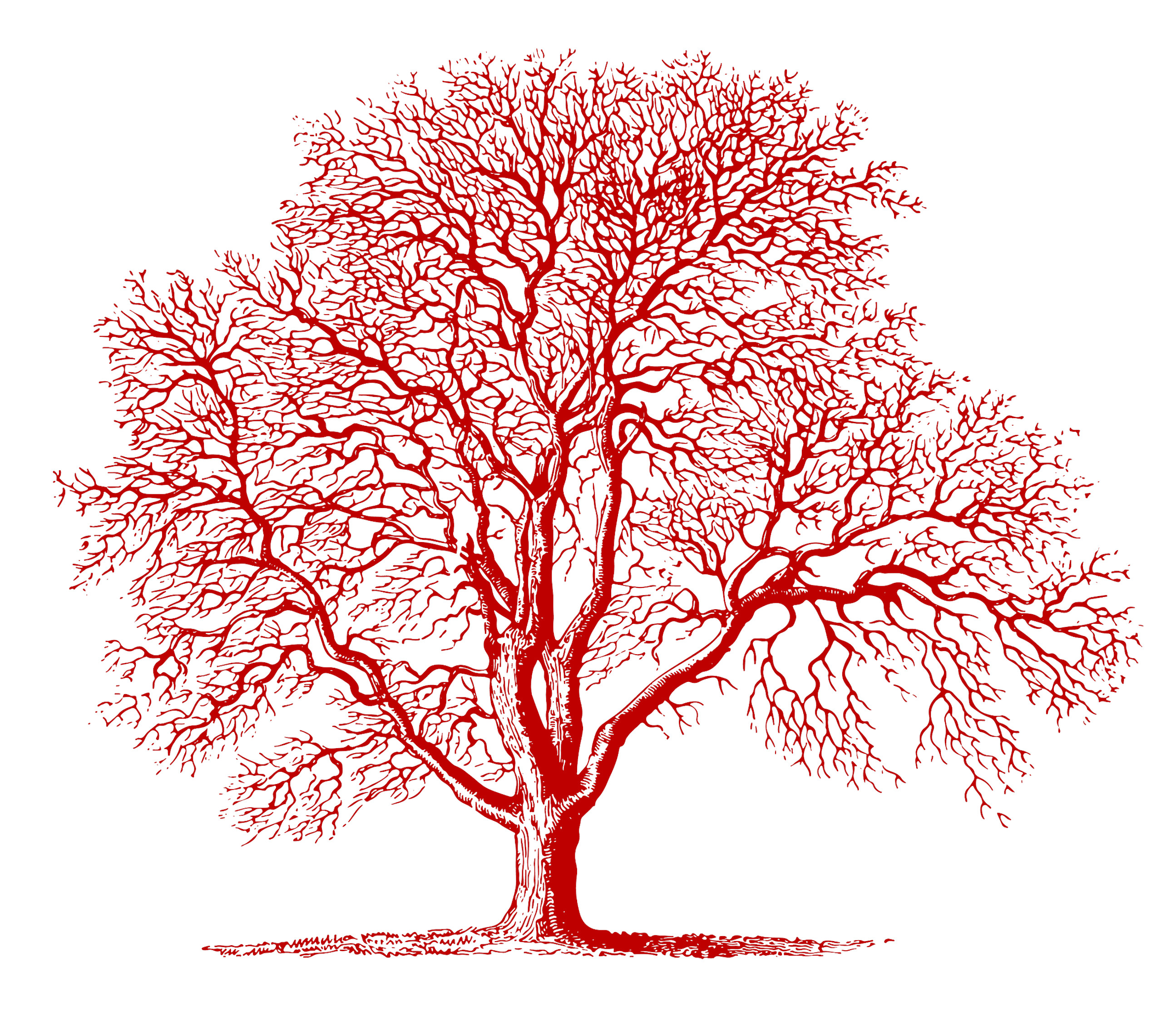 Issue Two – Red Tree Review